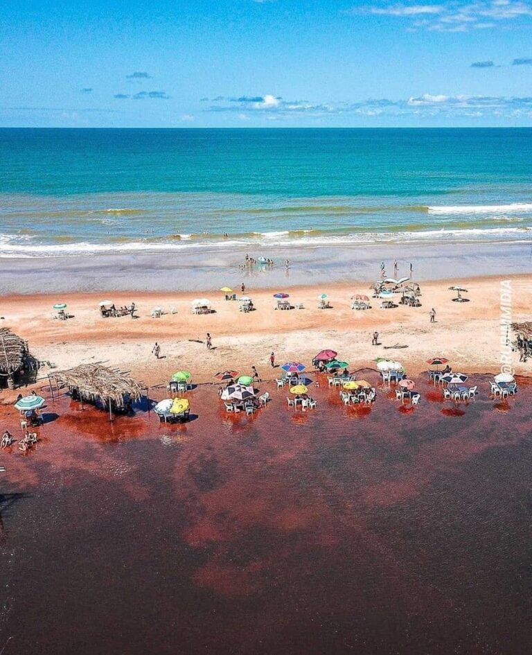 Descobrindo Riacho Doce: uma das praias desertas mais bonitas do Brasil ...